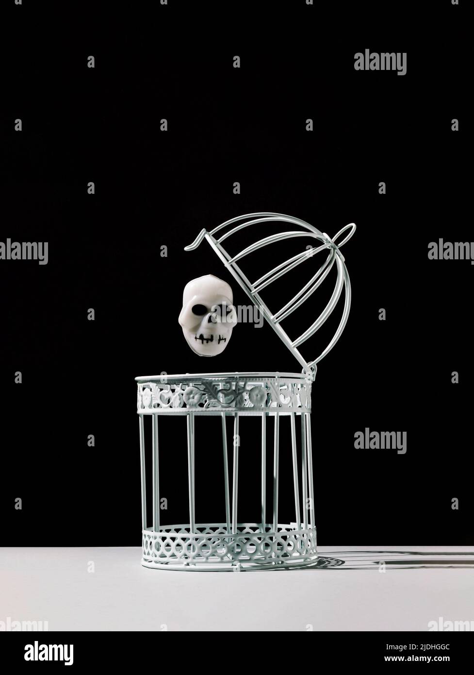 Halloween horror concept with skull and white bird cage on black ...