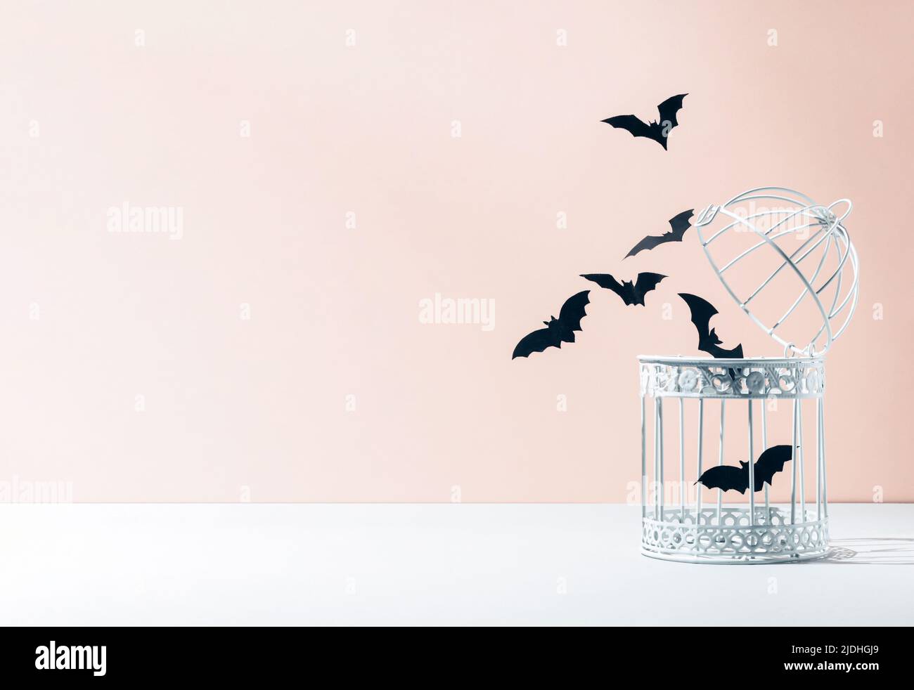 Creative minimal concept with white bird cage and bats silhouettes on ...
