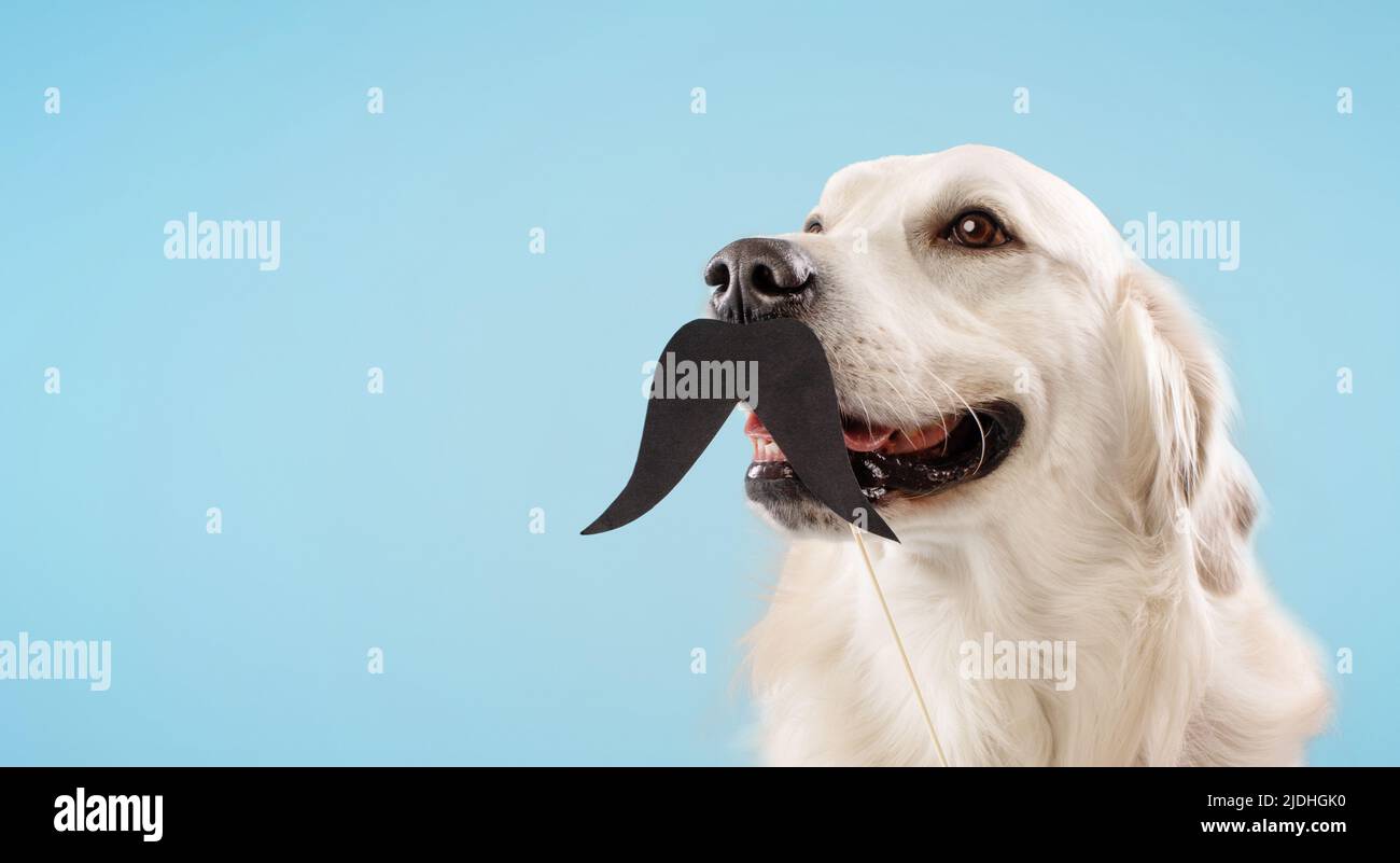 Dogs Born With Mustaches