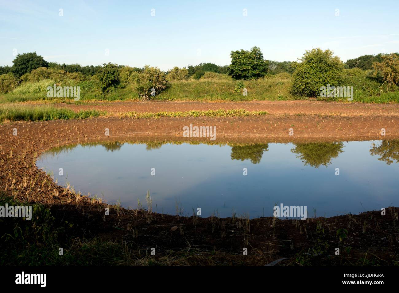The Stratford Riverside Nature Reserve under development, Stratford ...