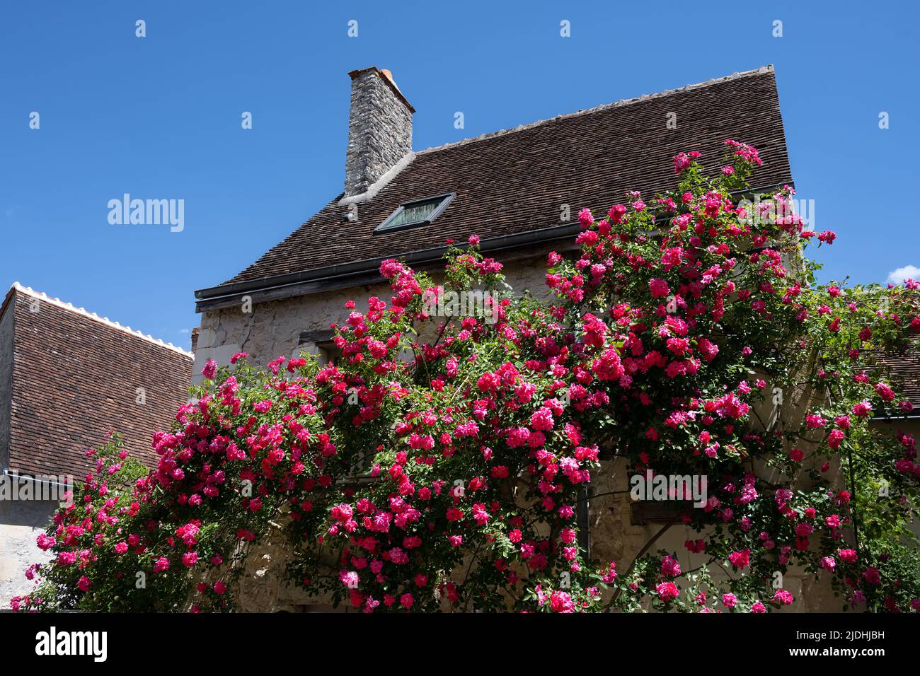 Rose covered building hi-res stock photography and images - Alamy