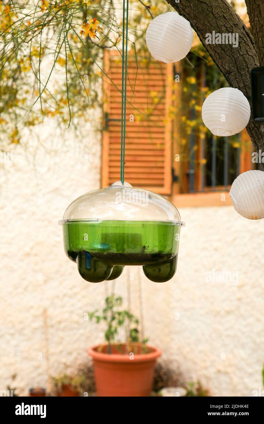 Ecological Hanging garden trap for wasps, hornets and flies Stock Photo ...