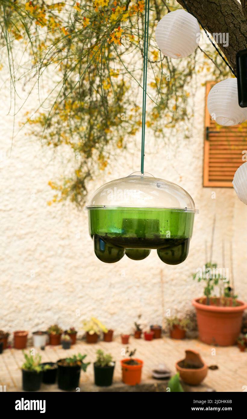 Ecological Hanging garden trap for wasps, hornets and flies Stock Photo ...