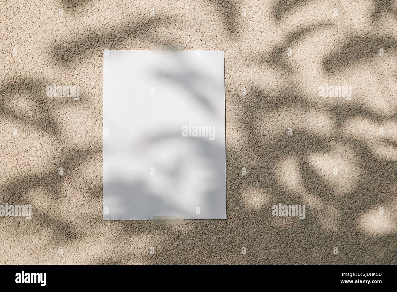 Poster taped to tree hi-res stock photography and images - Alamy