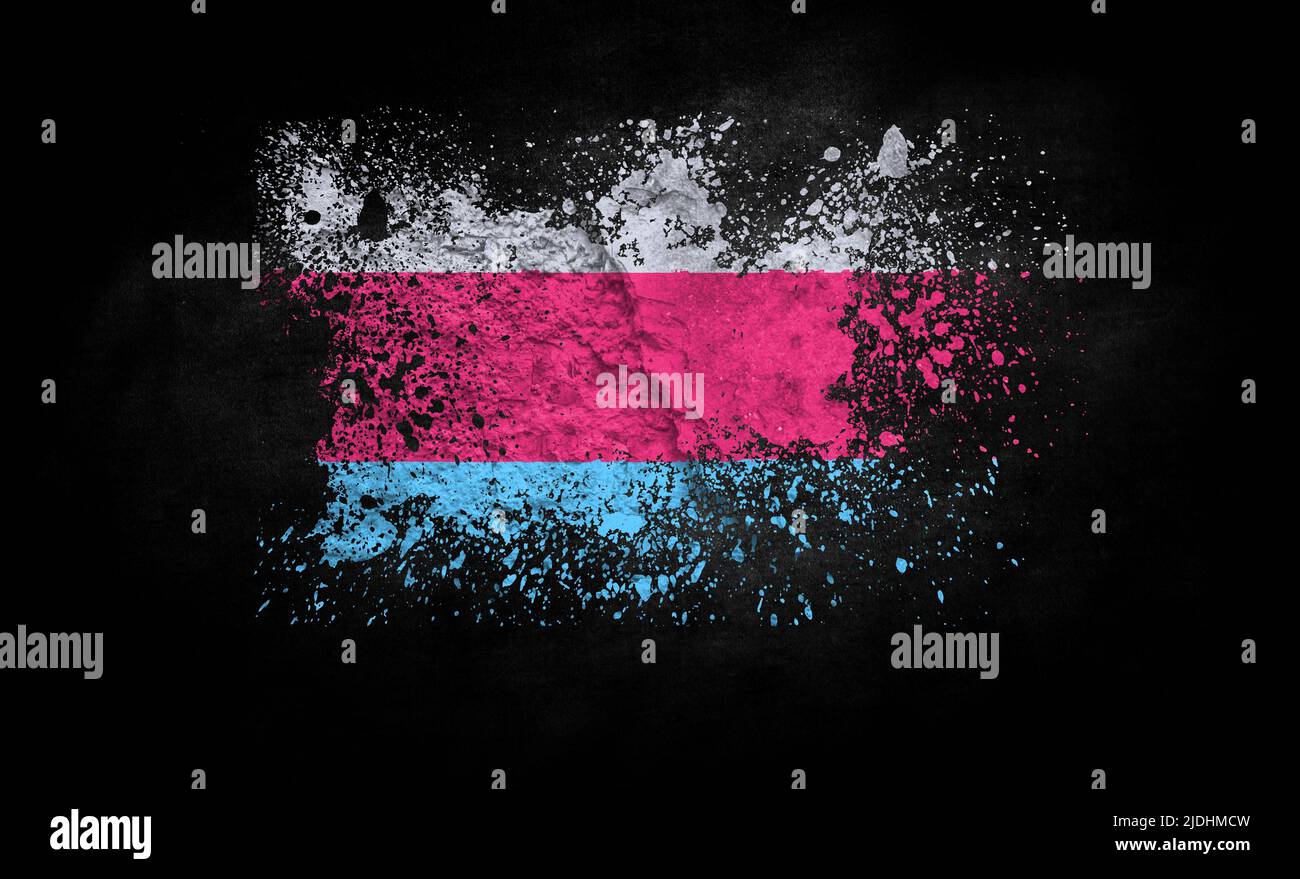 brush painted flag of Sapiosexual pride isolated on black background ...