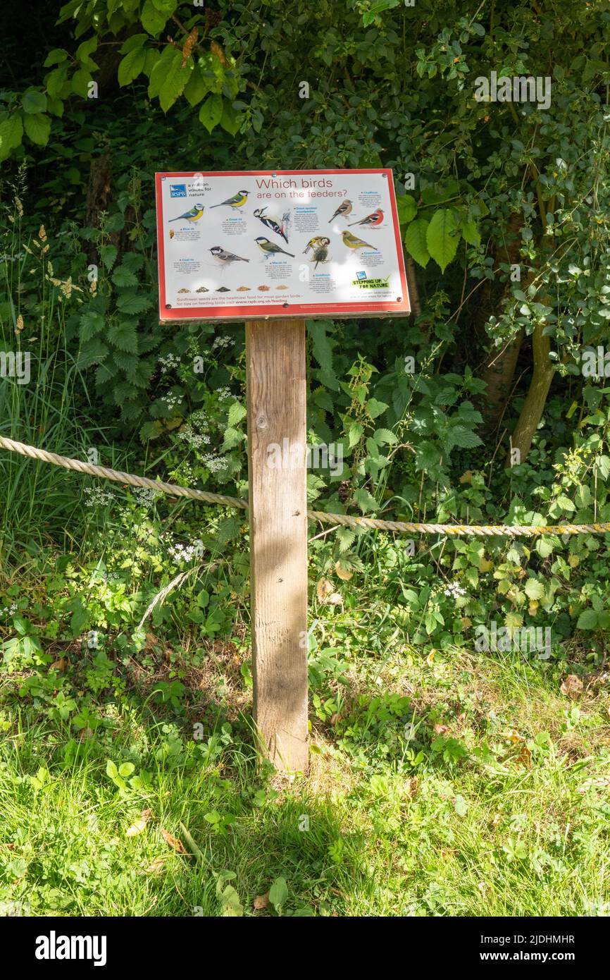 Strumpshaw fen nature reserve hi-res stock photography and images - Alamy