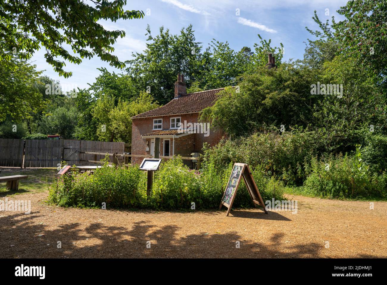 A view of RSPB Strumpshaw Fen area in Norfolk England Stock Photo - Alamy