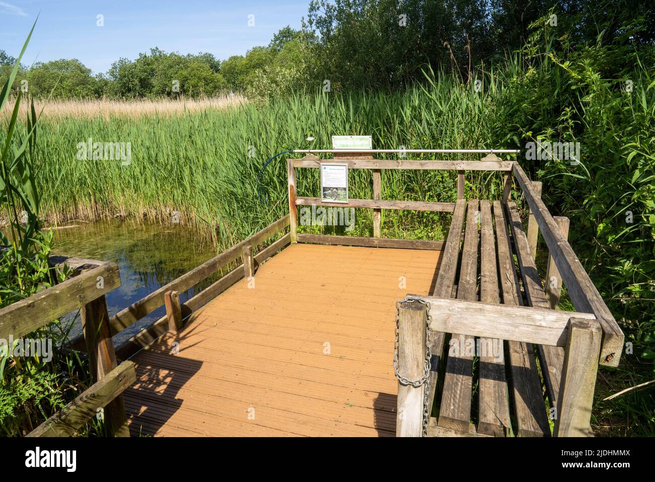 A view of walkway and seats at a pond on RSPB Strumpshaw Fen in Norfolk ...