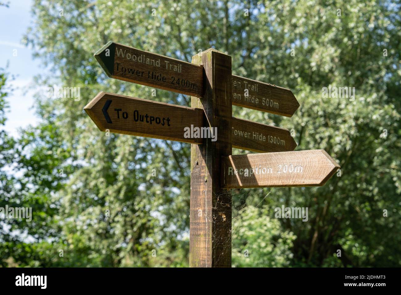 A view of a wooden signpost indicating which way to different areas on ...