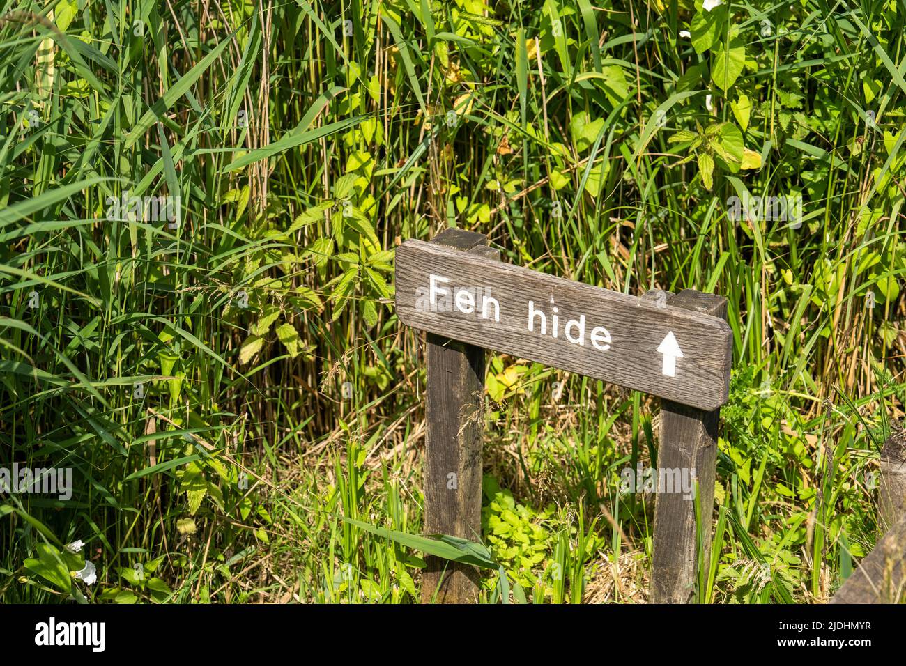 Strumpshaw fen nature reserve hi-res stock photography and images - Alamy