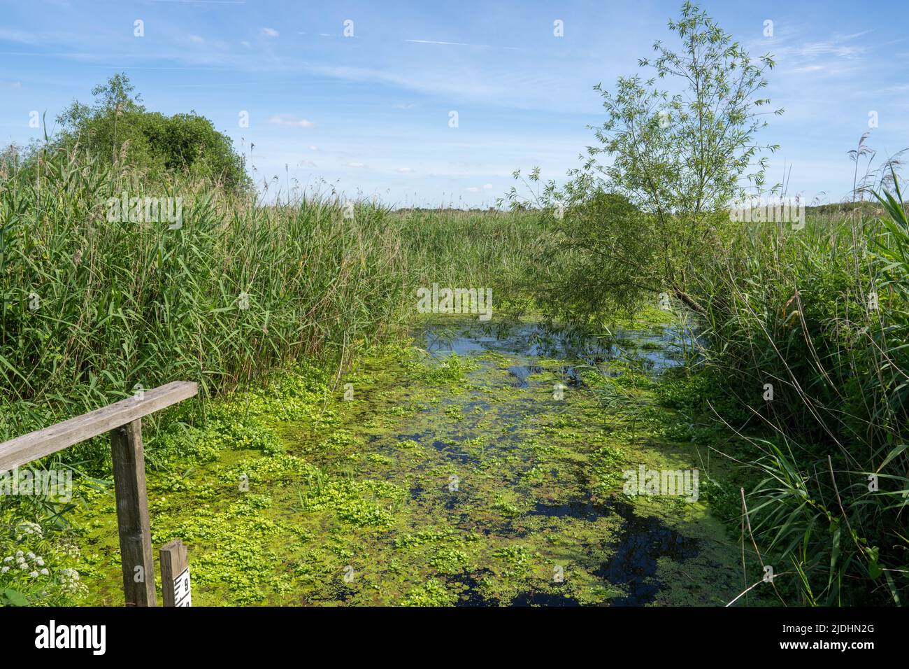 Fen pond road hi-res stock photography and images - Alamy
