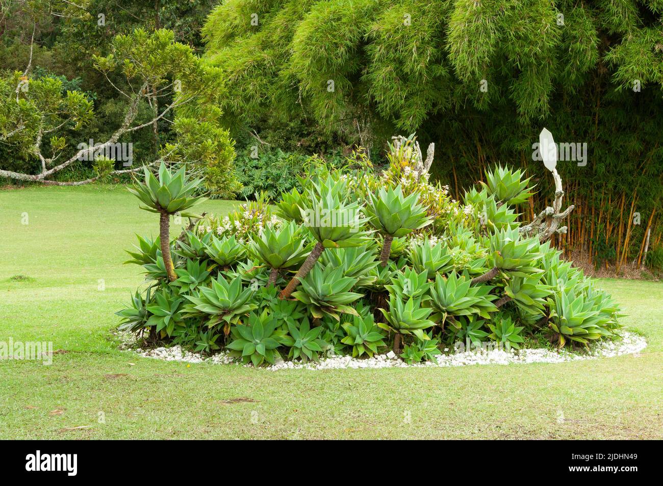 Beautiful natural garden hi-res stock photography and images - Alamy
