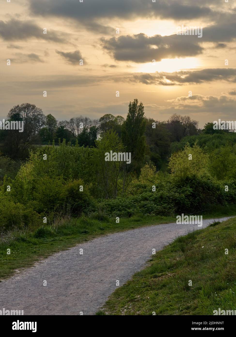 Sunset behind plants hi-res stock photography and images - Alamy