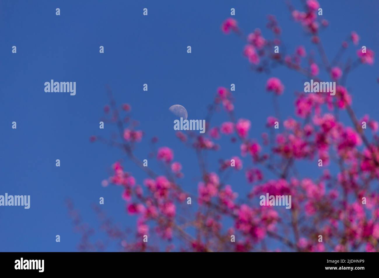 Goiania, Goiás, Brazil – June 20, 2022: he moon in the sky during the ...