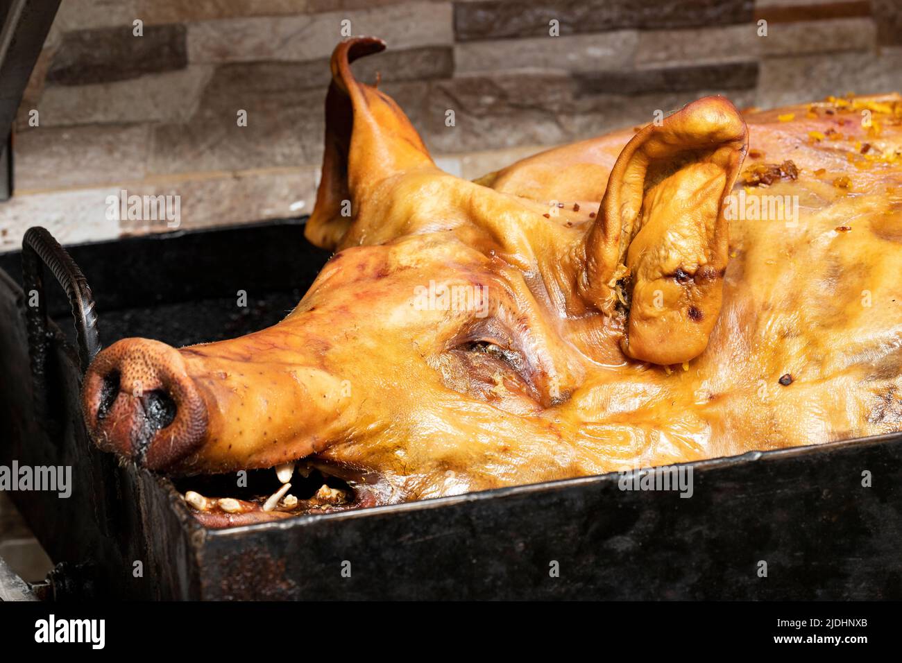 Suckling Pig Typical Dish of the Colombian Region of Tolima and Huila ...