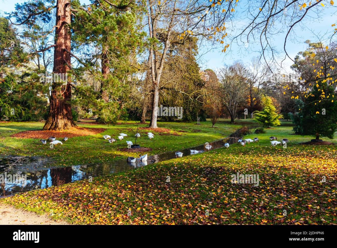 Malmsbury botanic gardens hi-res stock photography and images - Alamy