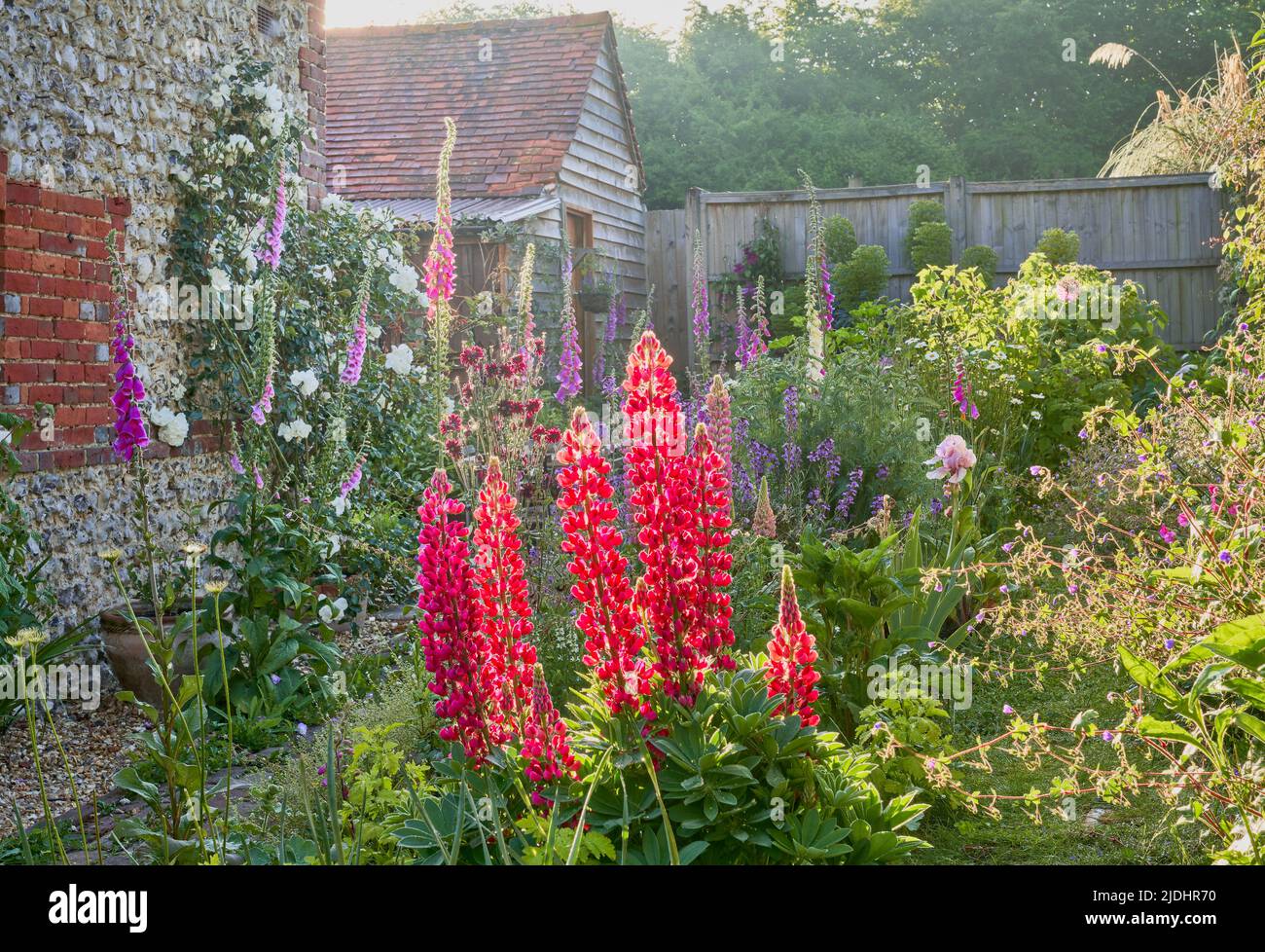 English Country Garden with cottage garden plants in summer and a flint ...