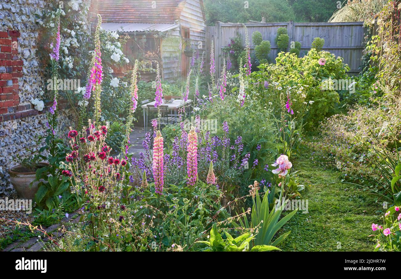 English Country Garden with cottage garden plants in summer and a flint ...