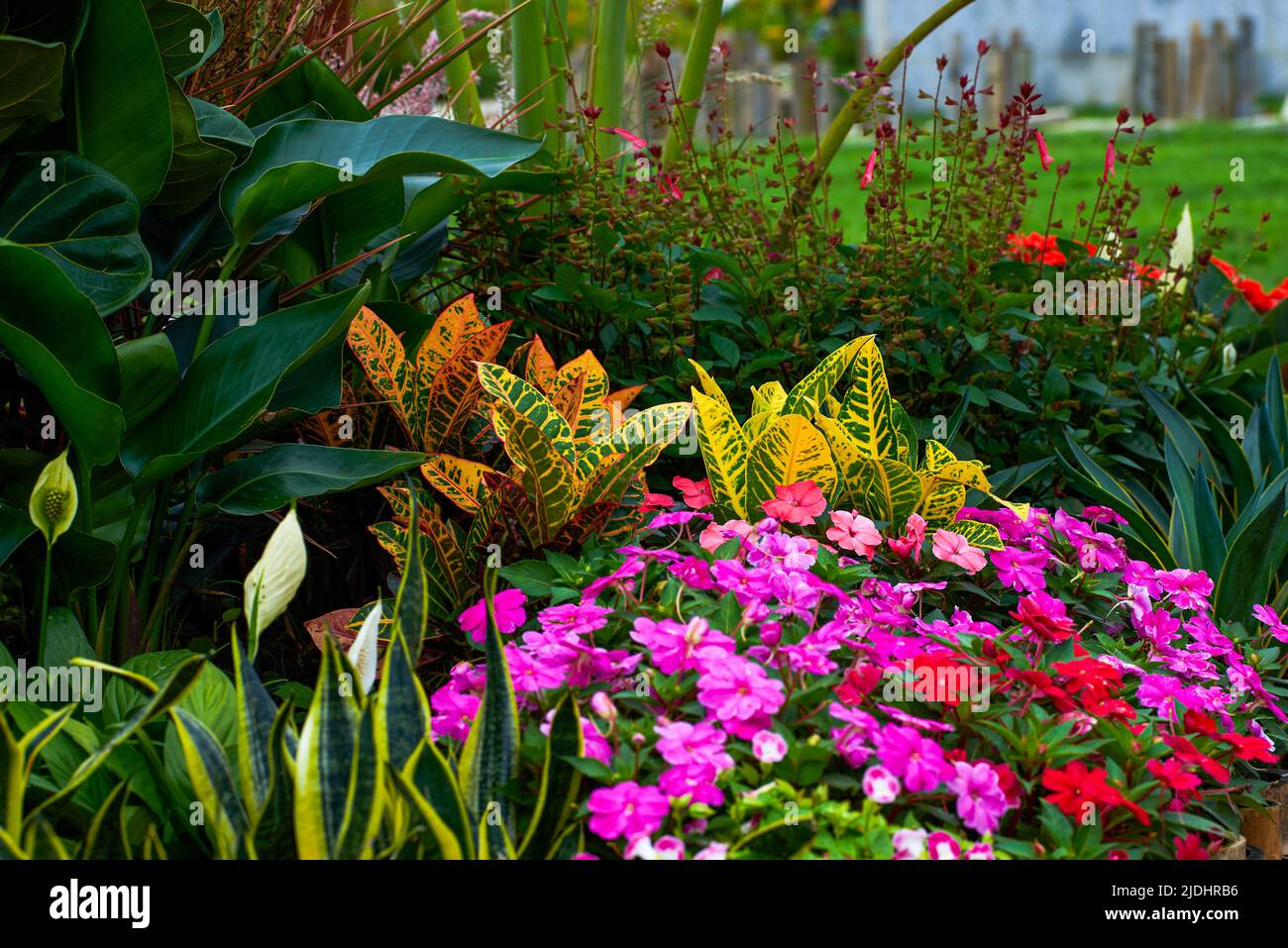 Landscape design of flowers and plants for modern flower gardens Stock ...