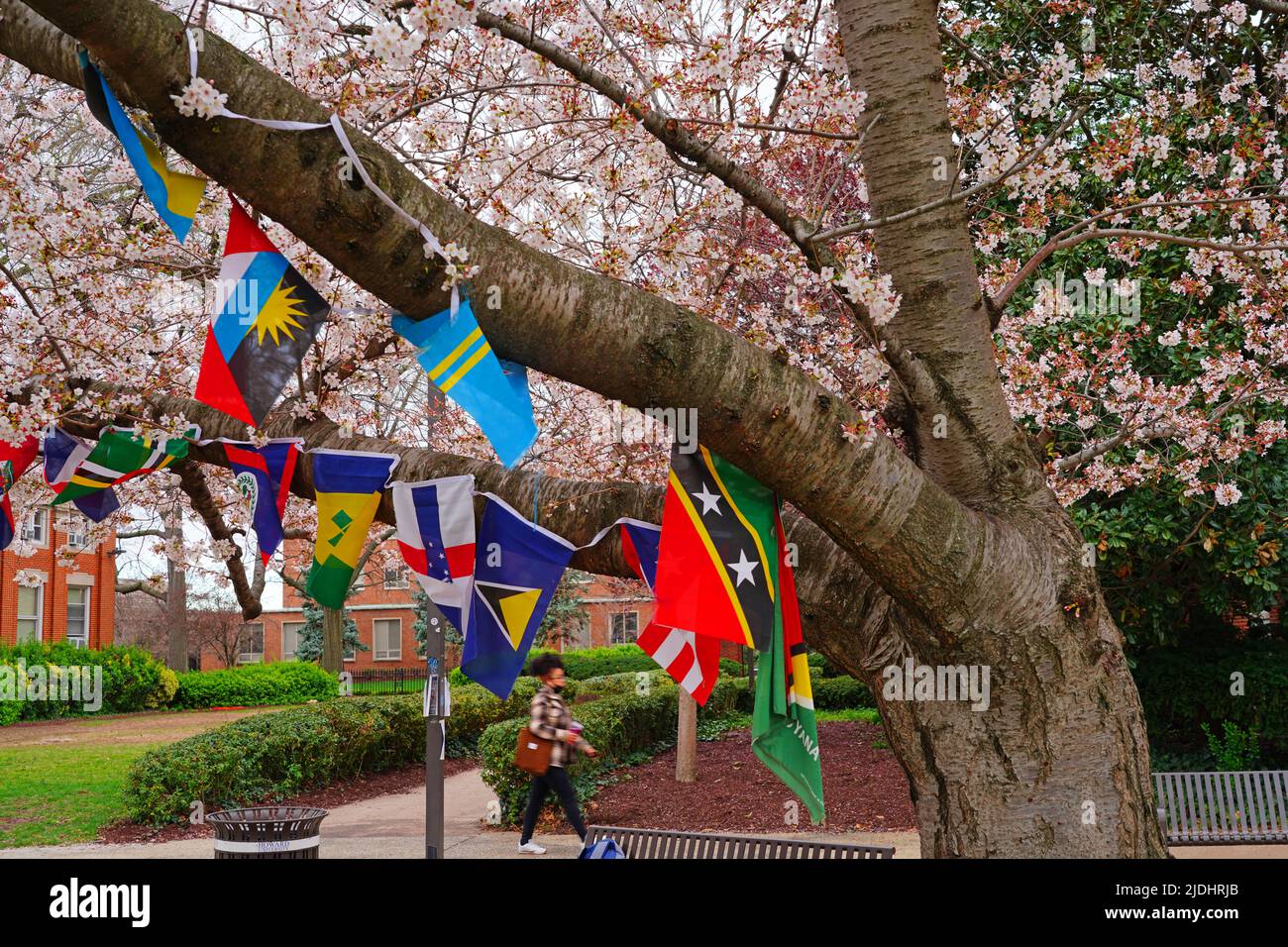 WASHINGTON, DC -26 MAR 2022- View of the college campus of Howard ...