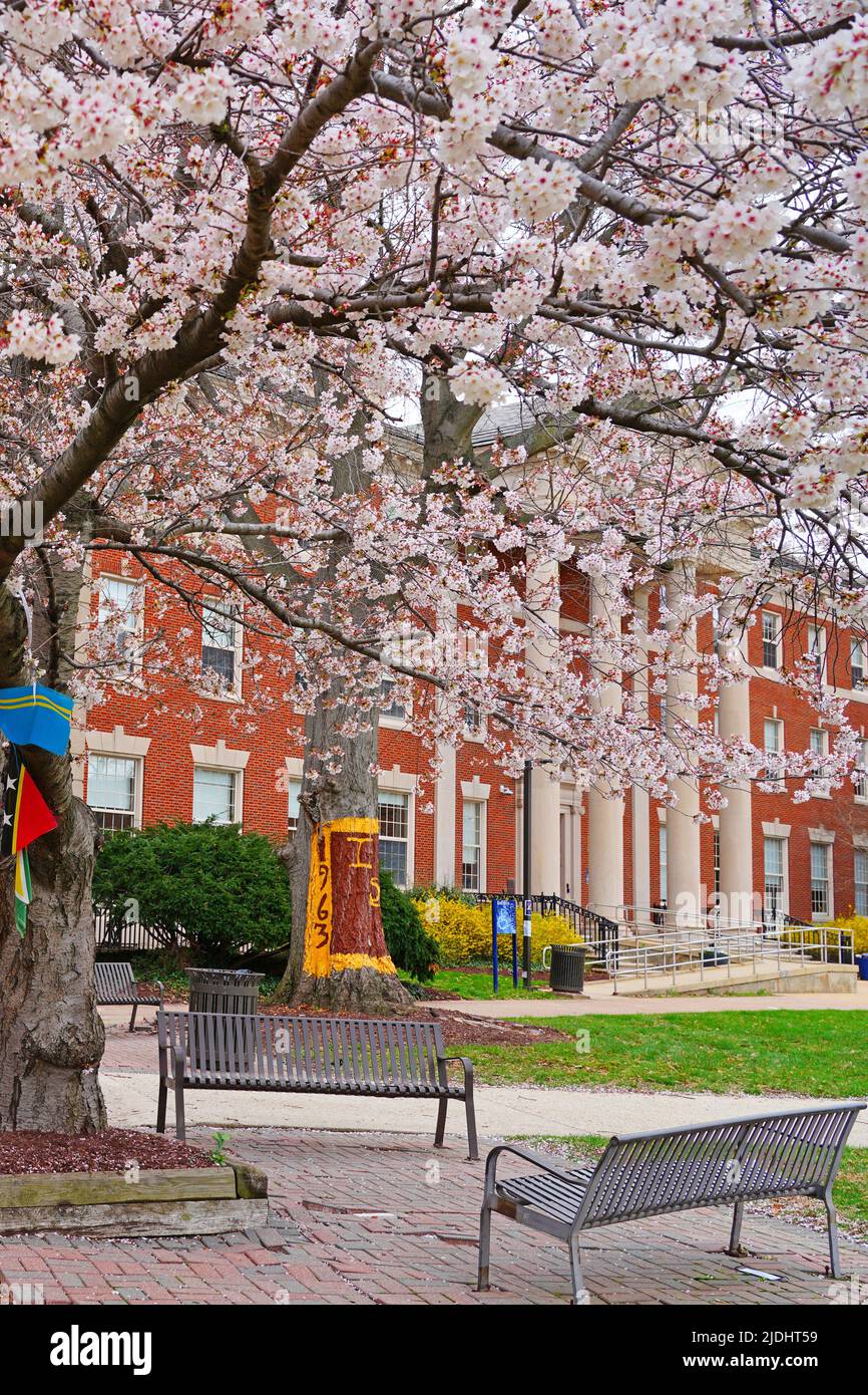 WASHINGTON, DC -26 MAR 2022- View of the college campus of Howard ...