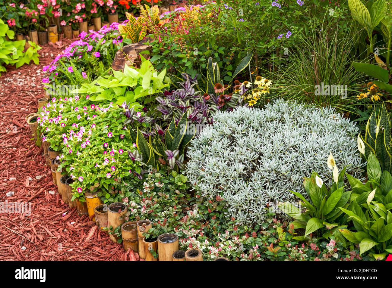 Landscape design of flowers and plants for modern flower gardens Stock ...