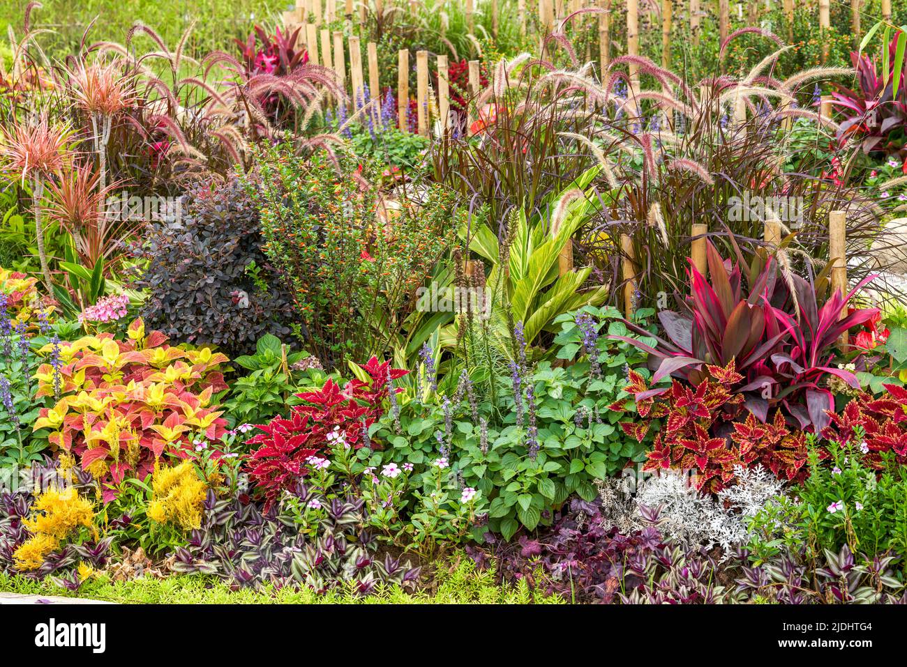 Landscape design of flowers and plants for modern flower gardens Stock ...