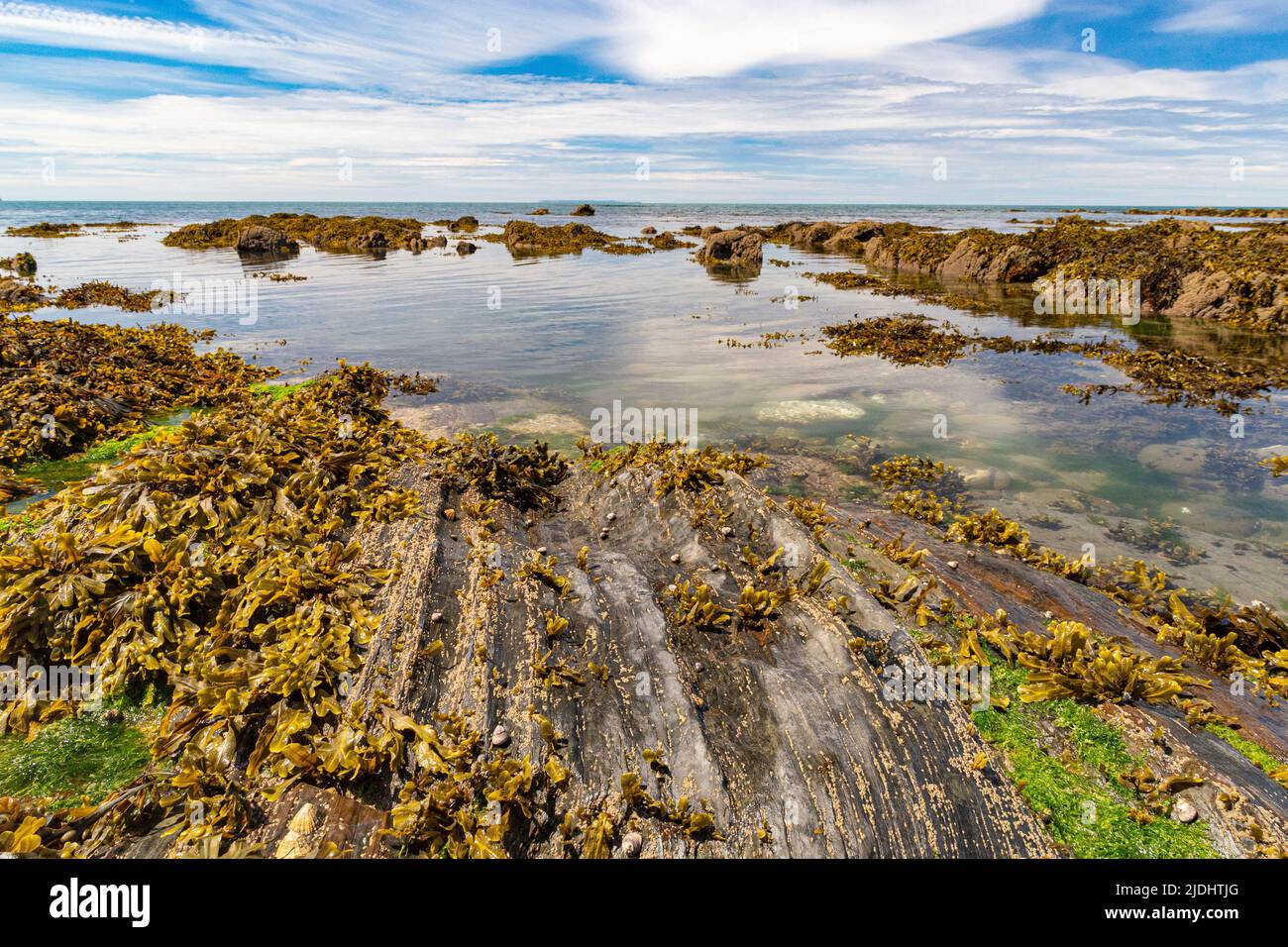 Scenic Sea View of Greencliff Beach, With, Exposed Rocks, Rock Pools ...