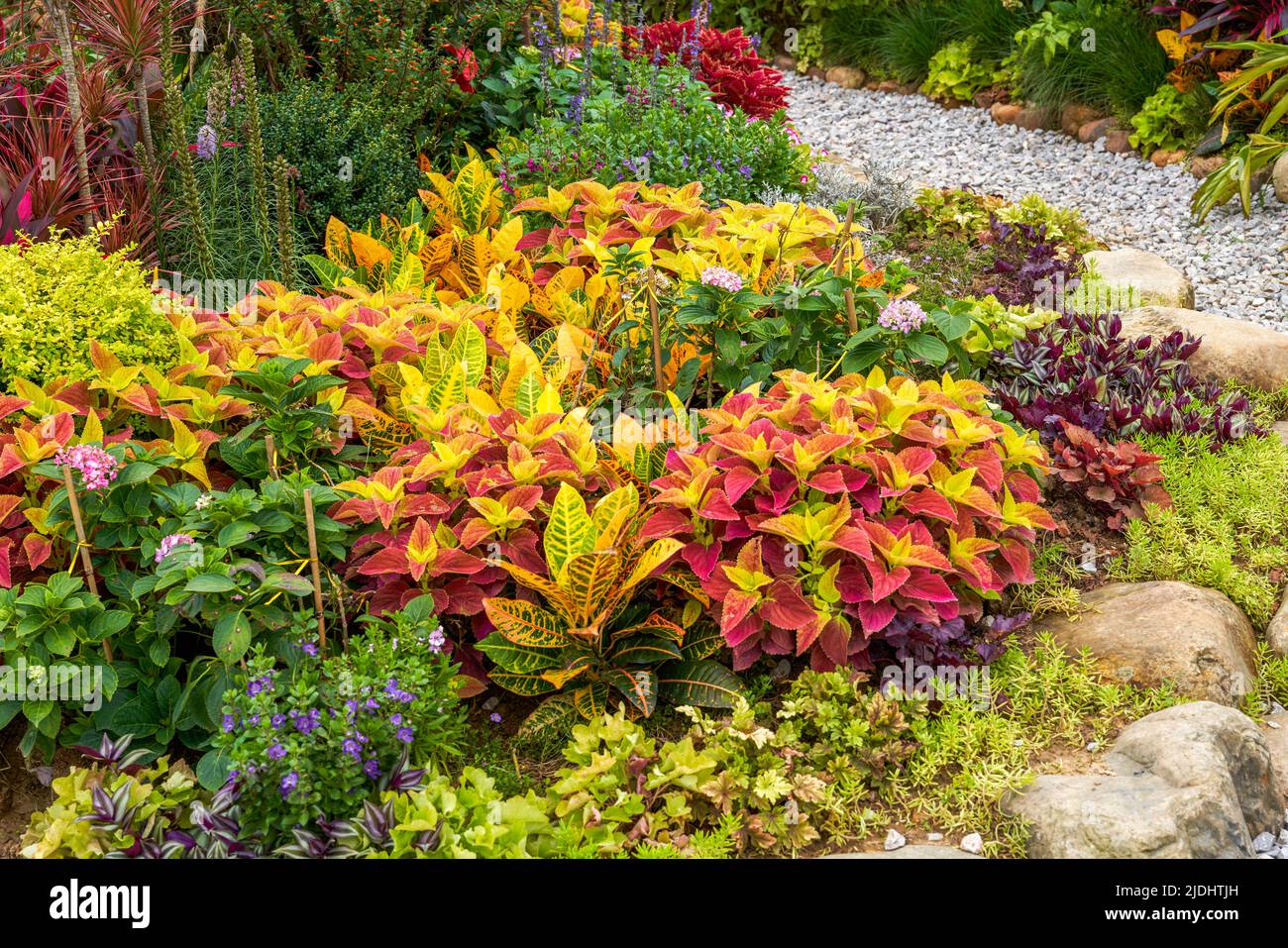 Landscape design of flowers and plants for modern flower gardens Stock ...