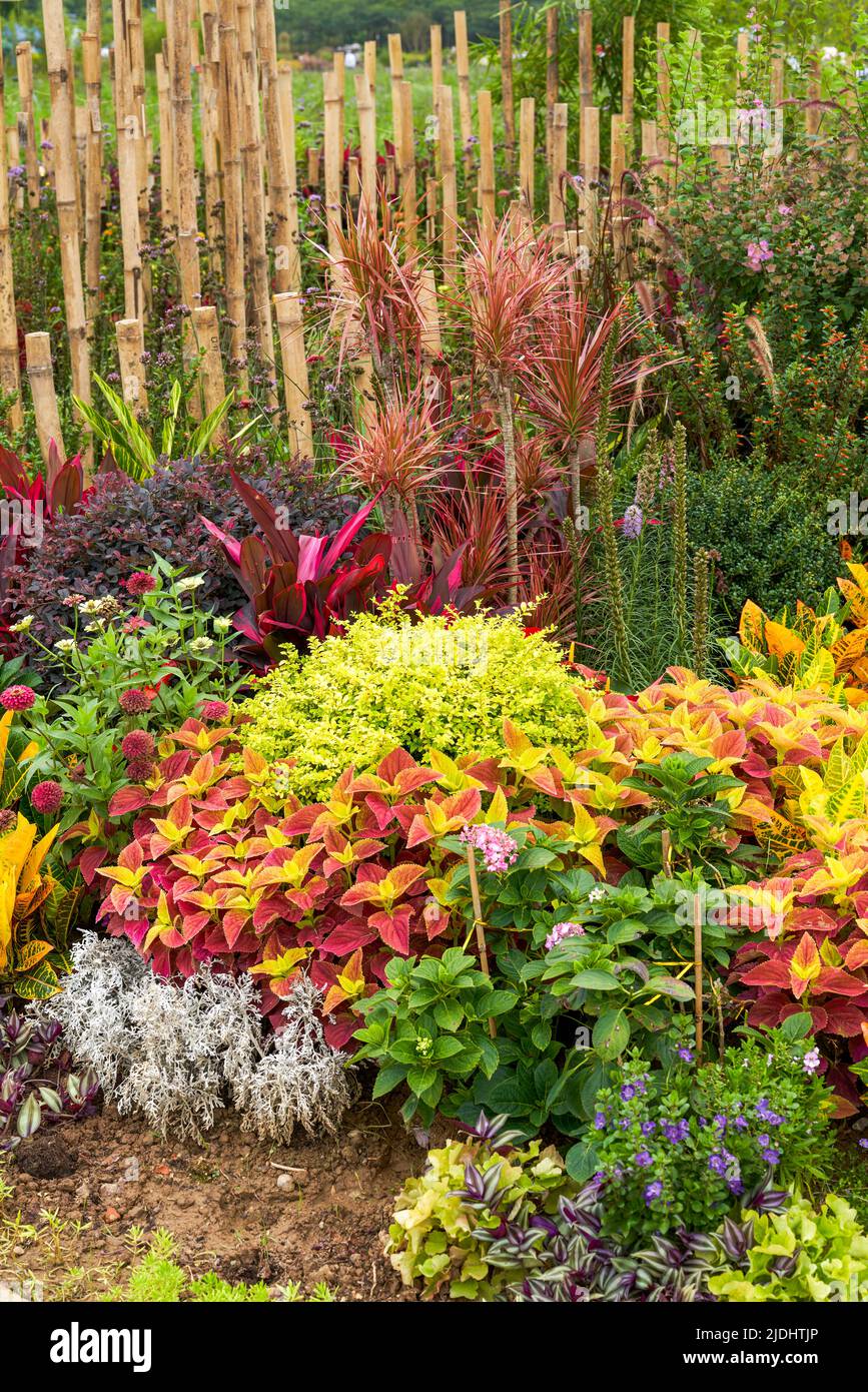 Landscape design of flowers and plants for modern flower gardens Stock ...