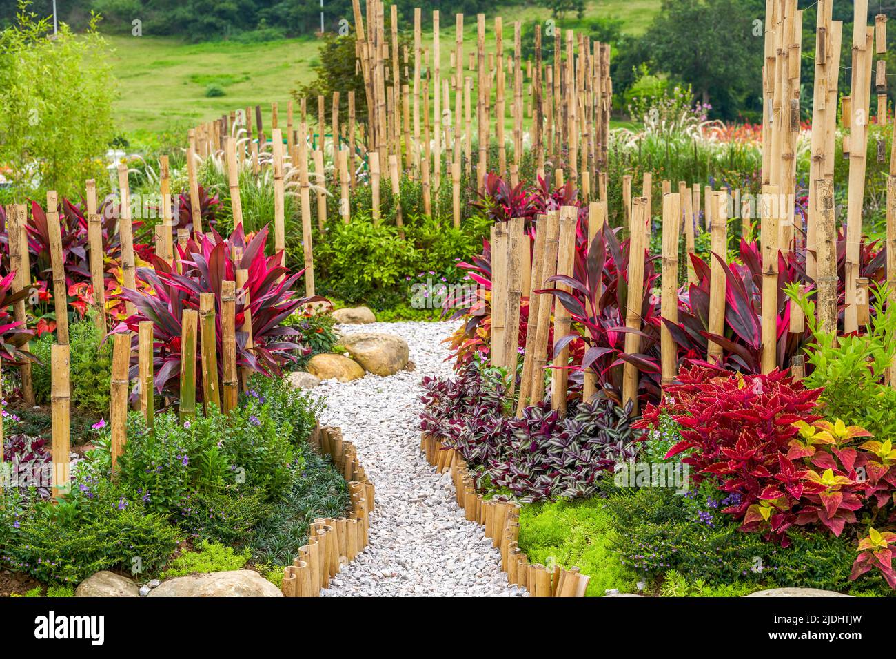 Landscape design of flowers and plants for modern flower gardens Stock ...