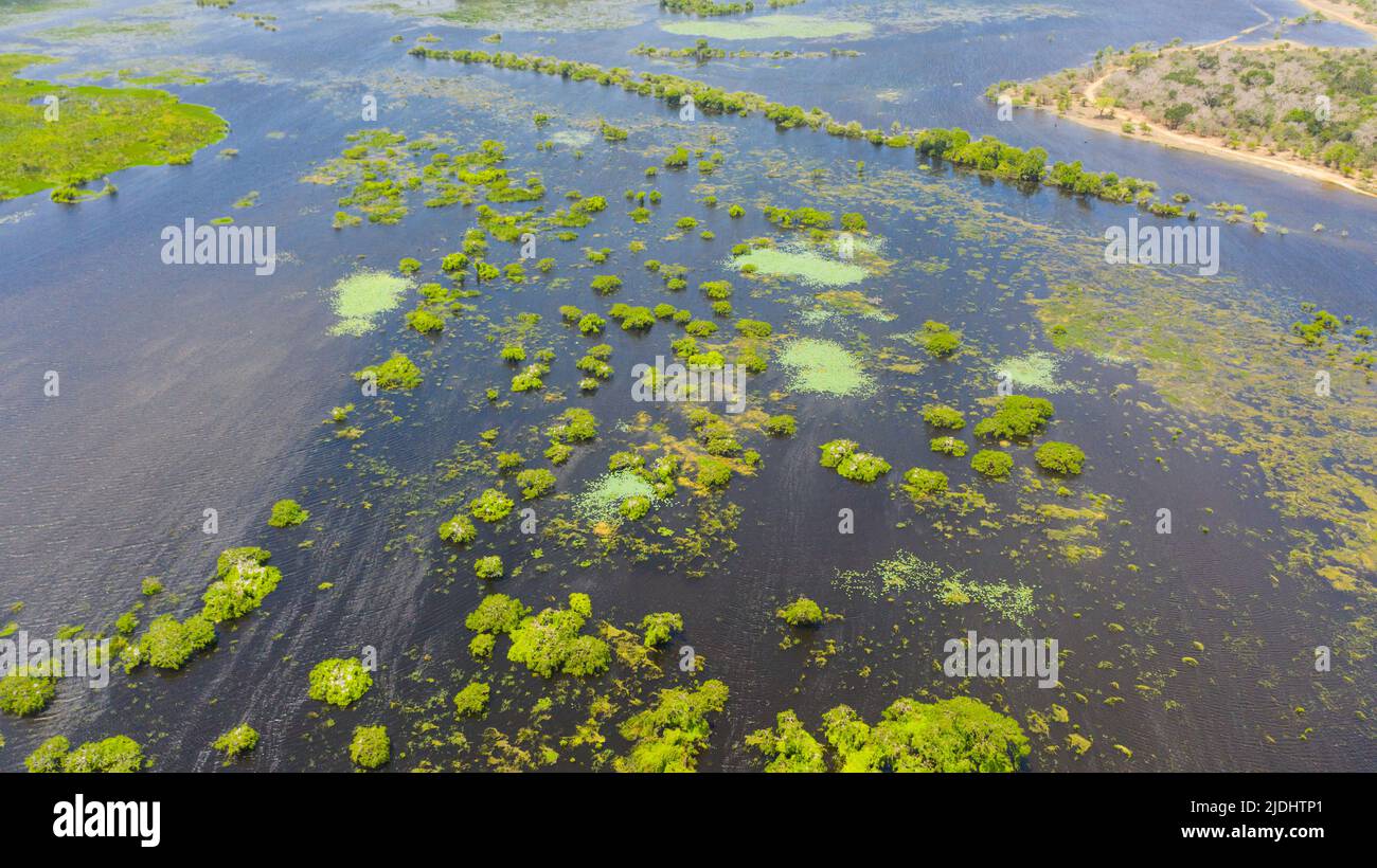Tropical landscape: Lakes and swamps in the national park among ...