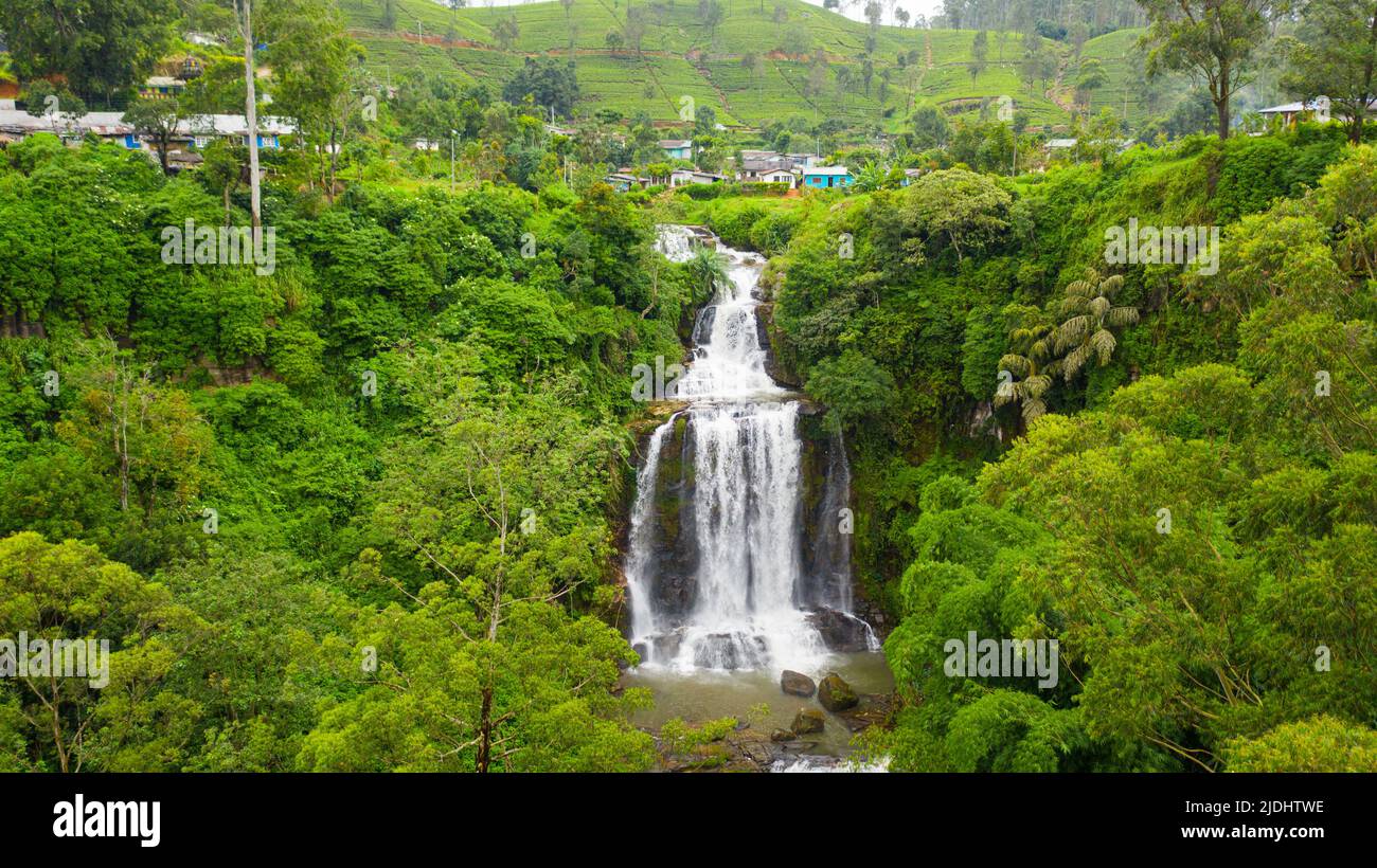 Aerial view waterfall among tea hi-res stock photography and images - Alamy
