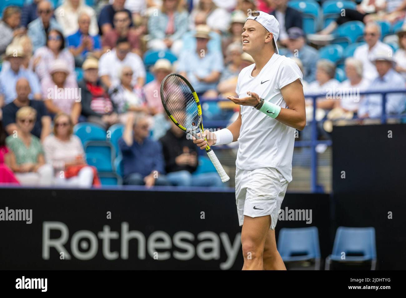 Cameron norrie grass courts hi-res stock photography and images - Alamy