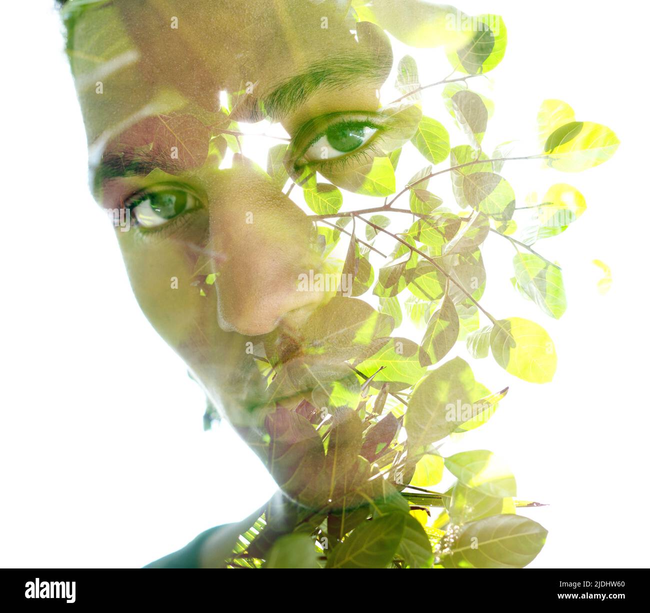 Multiexposure tree hi-res stock photography and images - Alamy