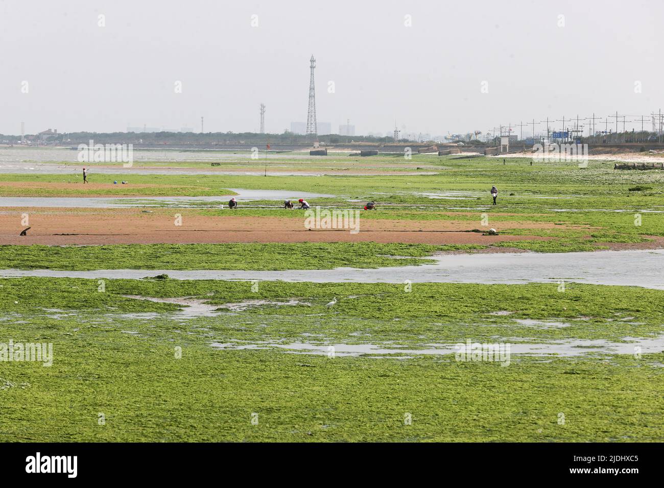 Haizhou bay hi-res stock photography and images - Alamy