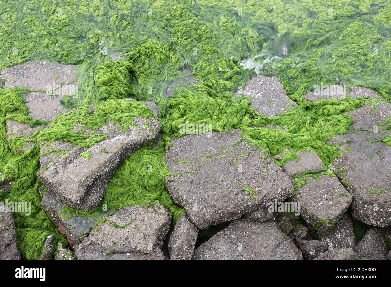 Haizhou bay hi-res stock photography and images - Alamy