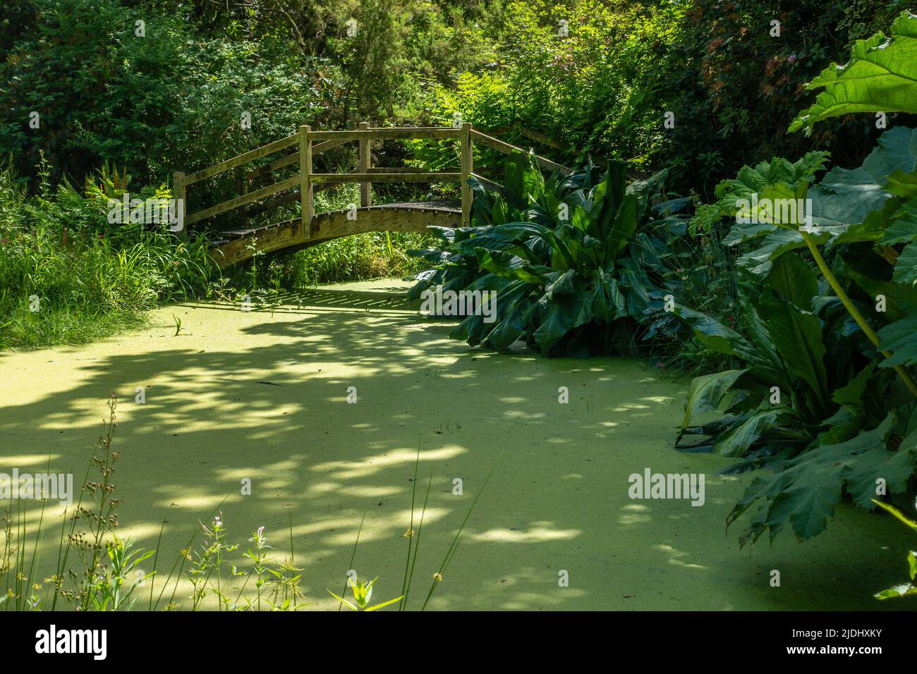 Small arched bridge hi-res stock photography and images - Alamy