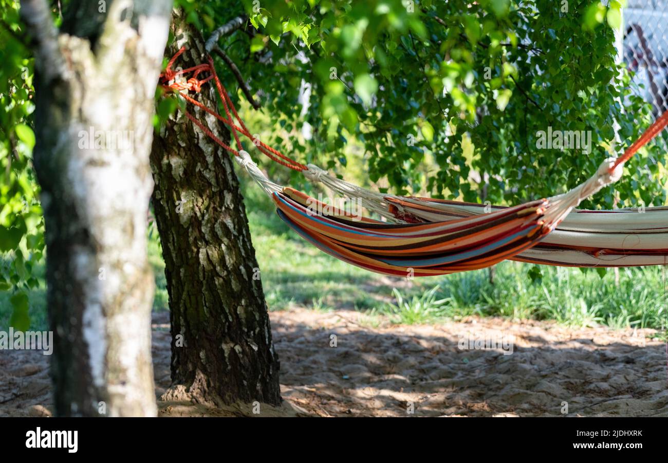 Hammocks hung among trees under green leaves. Rest in the fresh air ...