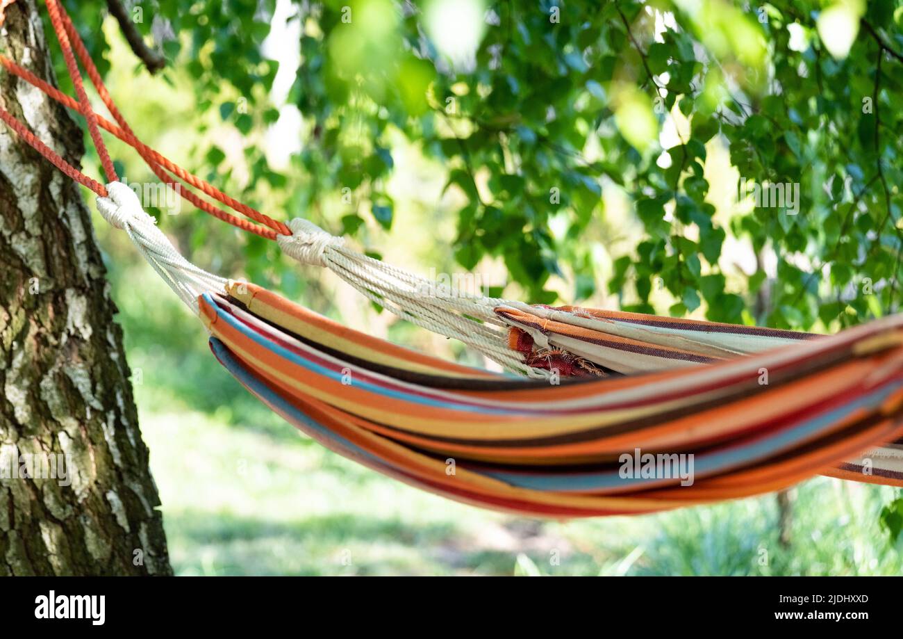 Hammocks hung among trees under green leaves. Rest in the fresh air ...