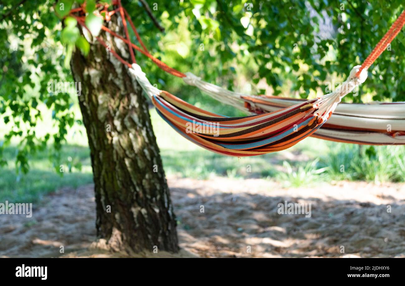 Hammocks hung among trees under green leaves. Rest in the fresh air ...