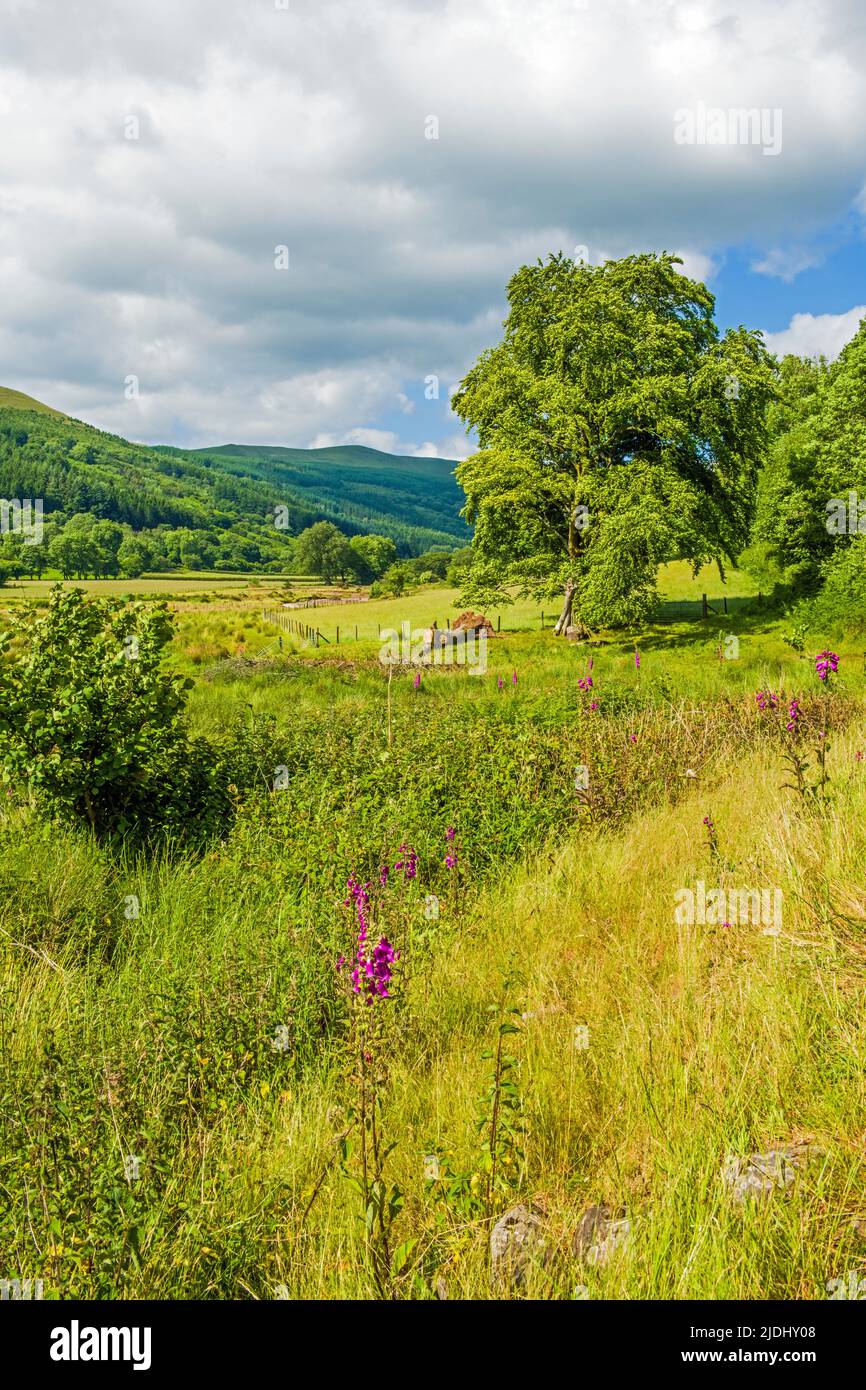 The view from the top of the Talybont Reservoir along the Talybont ...