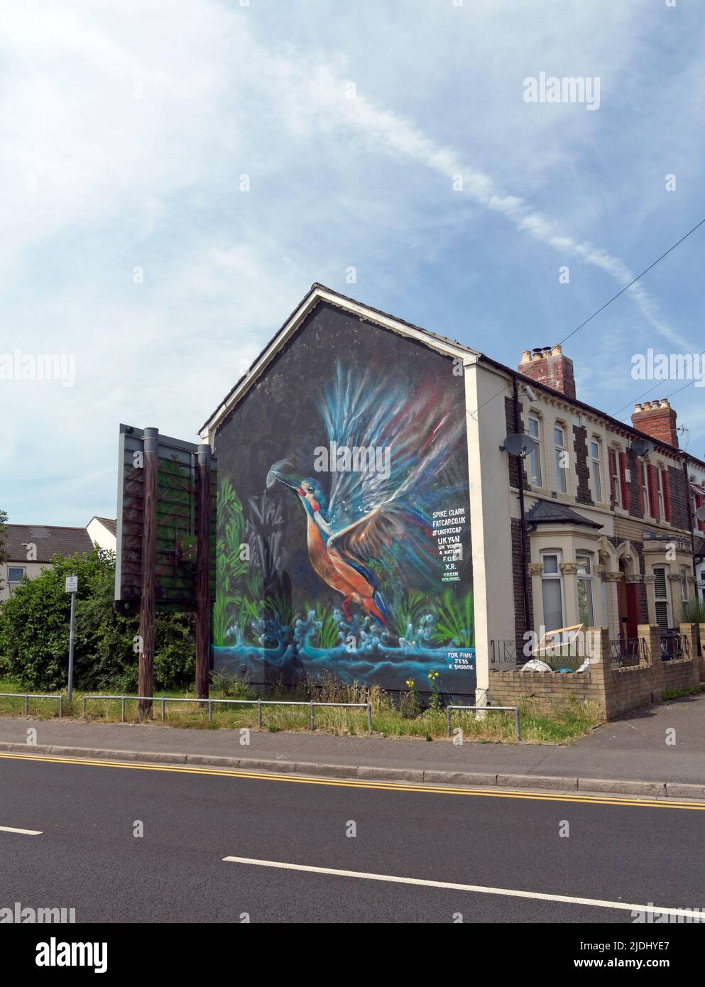 Kingfisher with fish rising from a river. Wall art / mural on the side ...