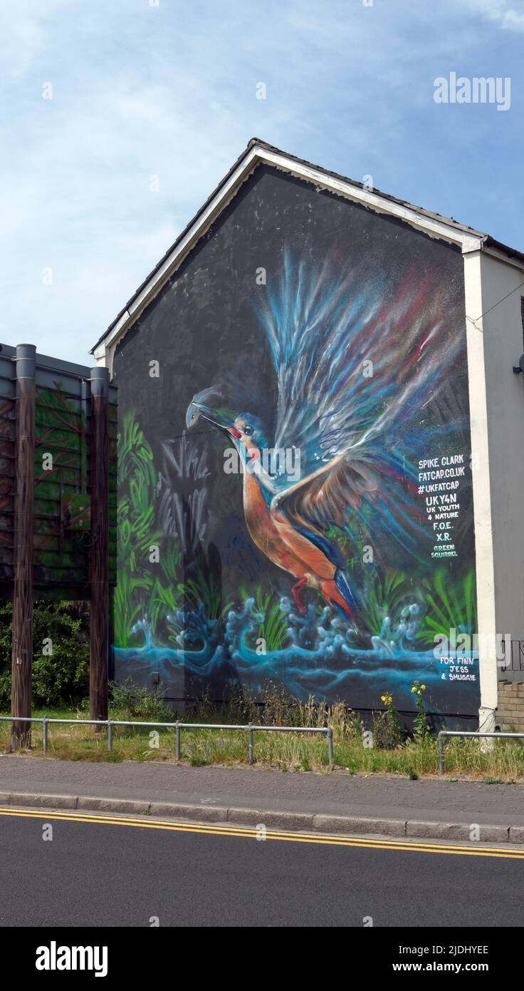 Graffiti wall fish hi-res stock photography and images - Alamy