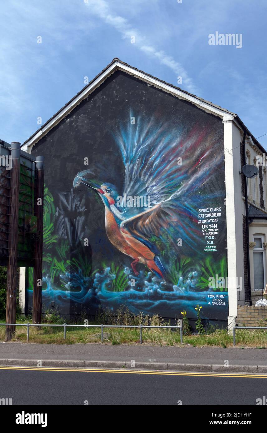 Kingfisher with fish rising from a river. Wall art / mural on the side ...