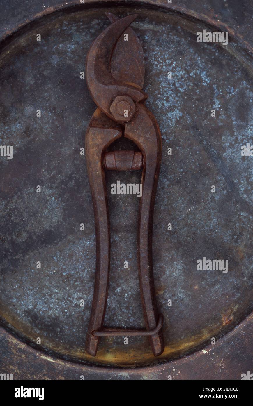 Pair of rusty old secateurs lying on tarnished metal plate Stock Photo ...