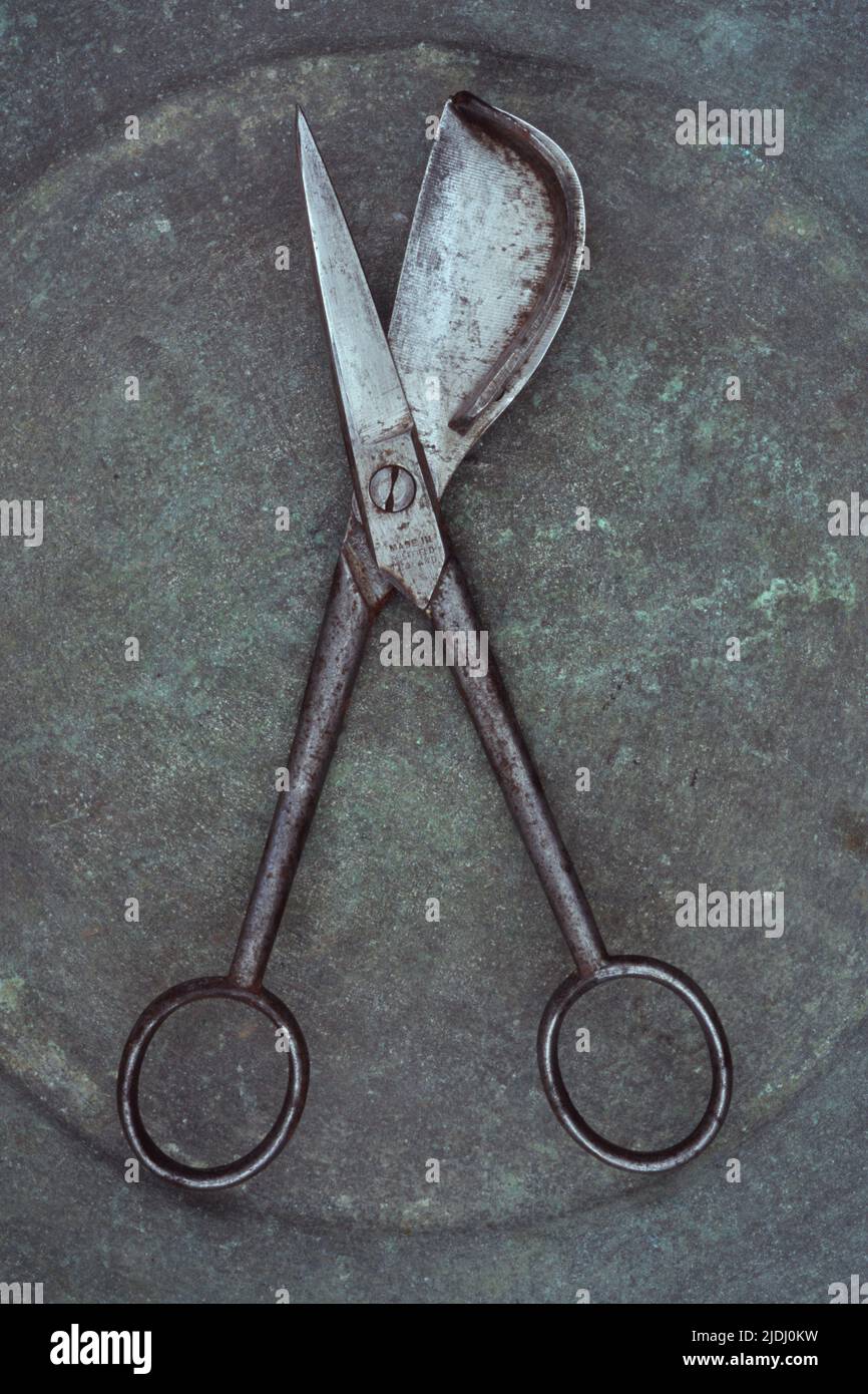 Antique steel scissors for trimming candle wicks lying on tarnished ...