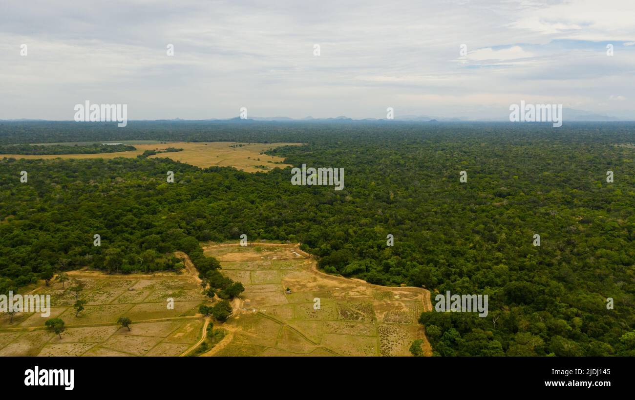 Rural area with agricultural land and rice fields in Sri Lanka Aerial ...