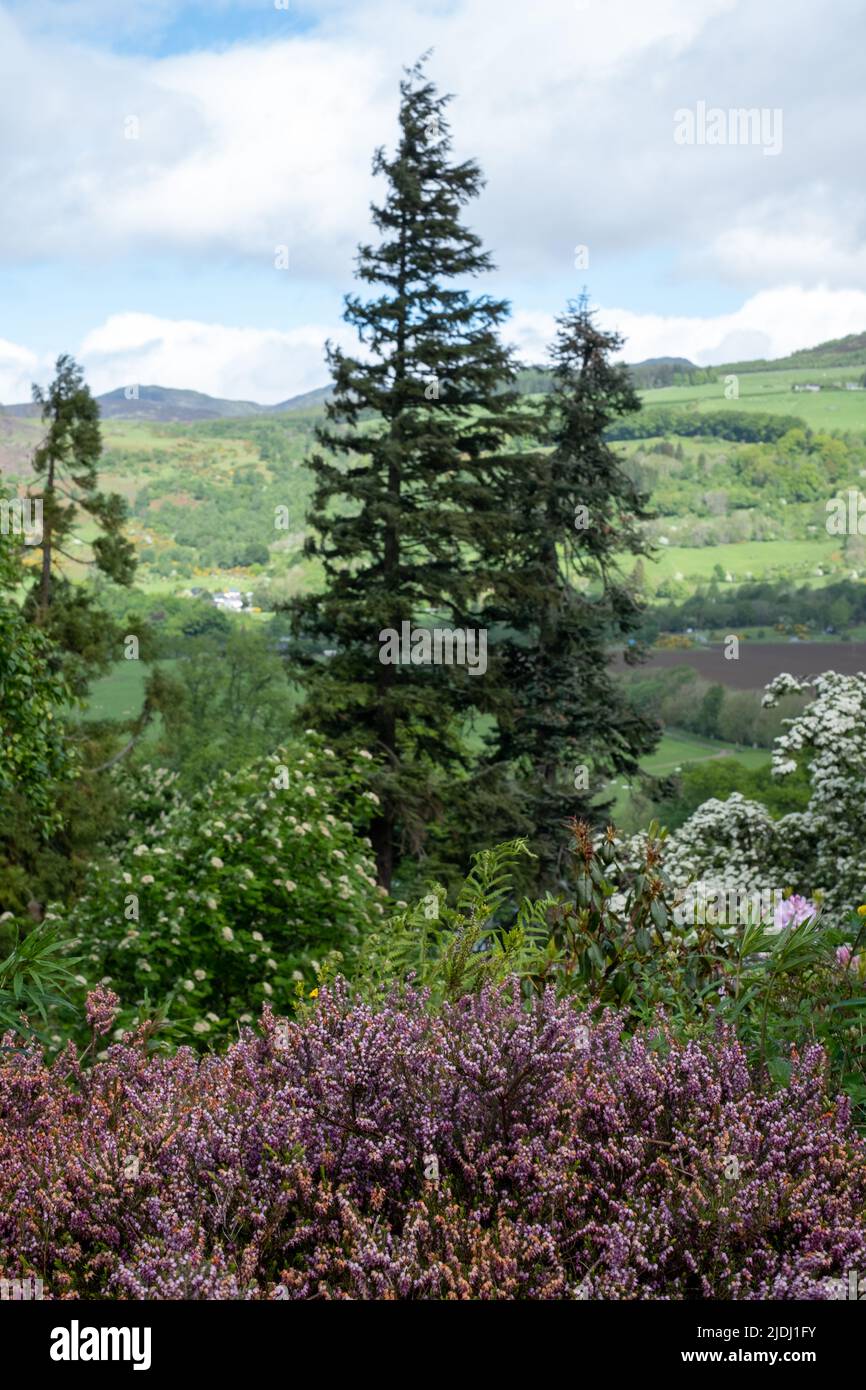 Scenic landscape view near Aberfeldy, in Highland Perthshire, Scotland ...