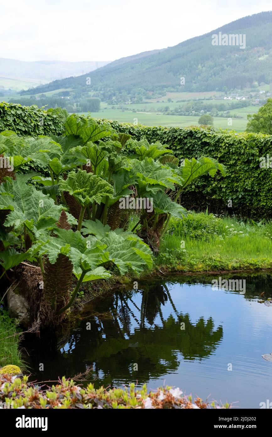 Scenic landscape view near Aberfeldy, in Highland Perthshire, Scotland ...